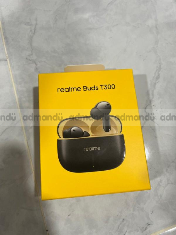 Realme Buds T300